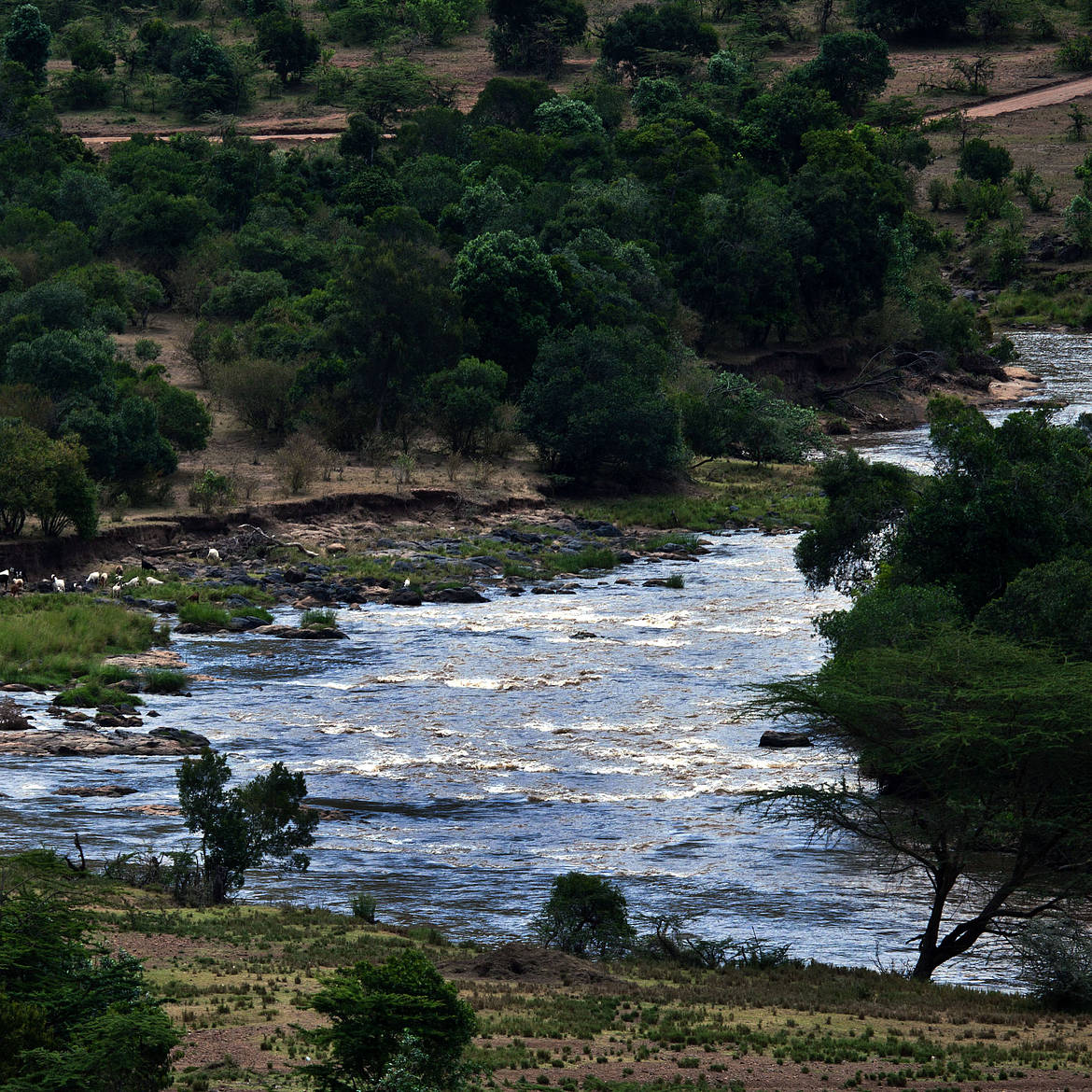 The Mara River Citizen-Led Health Assessment | WWF Kenya